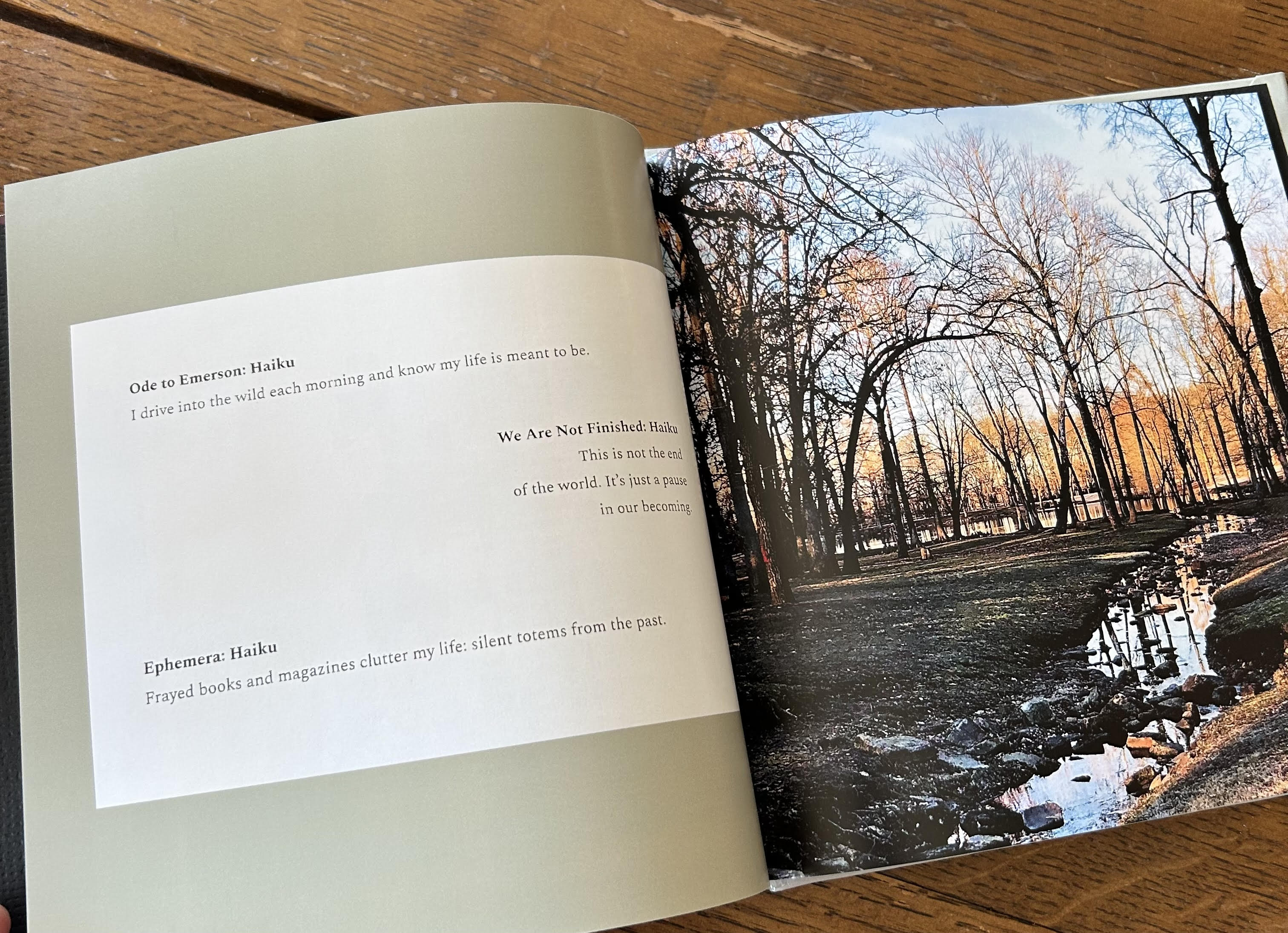 haiku page – ELA Brave and True by Marilyn Yung